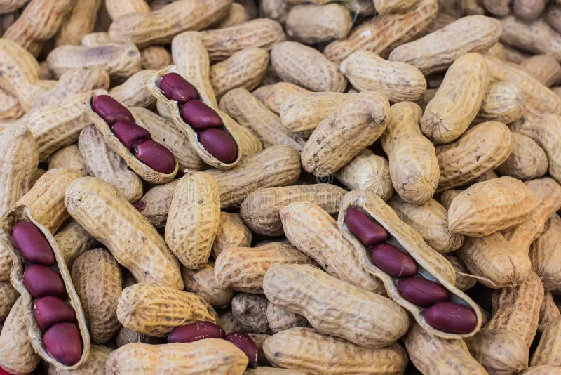 Peanut Types & Color Variants: What Makes Them Different?