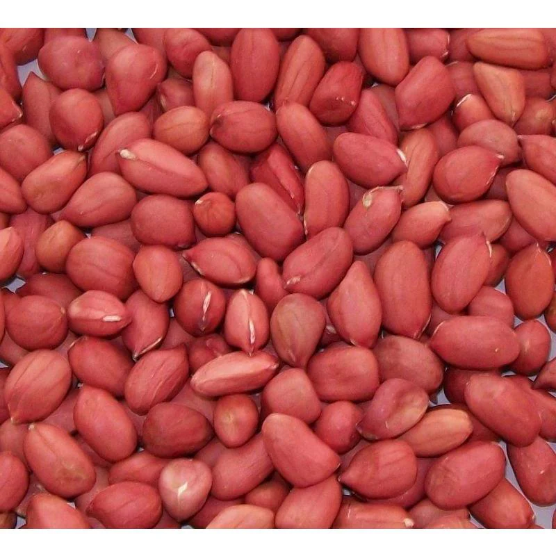 Peanut Types & Color Variants: What Makes Them Different?